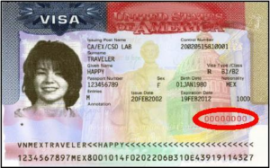 Visa Number